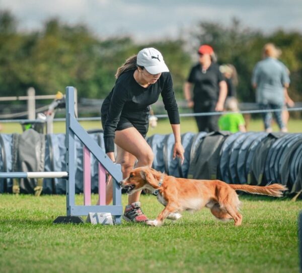 Dog Handler Fitness Program | Train With Liz Joyce